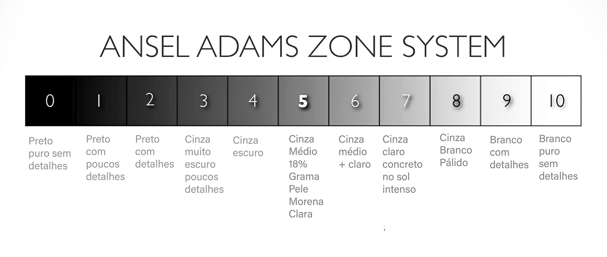 COMO USAR O SISTEMA DE ZONAS NA RÉGUA DO FOTÔMETRO - Página Inicial